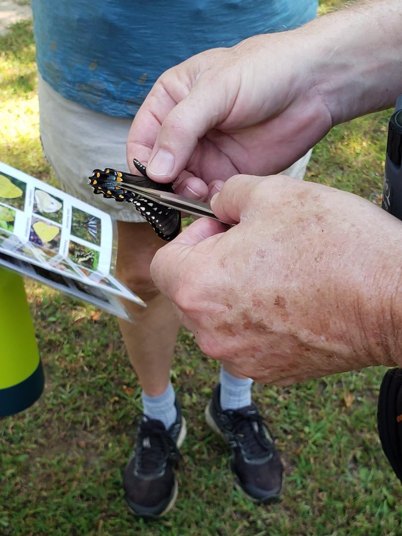Gallery – Middle Peninsula Master Naturalists